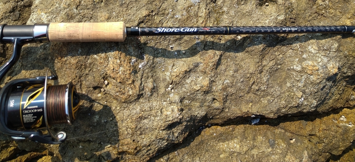 ヒラメを狙うサーフゲームでのSW4000番タックルはアリかナシか。 - ライト太郎.net