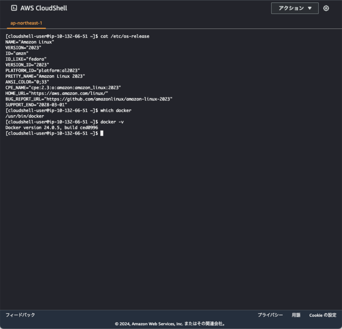 Aws Cloudshell で Docker が利用できるようになりました サーバーワークスエンジニアブログ
