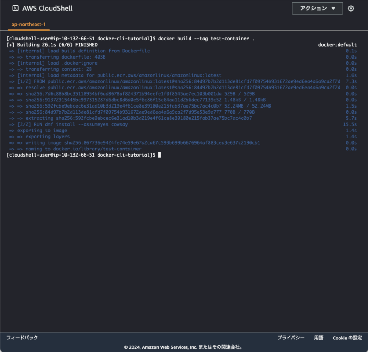 AWS CloudShell で Docker が利用できるようになりました - サーバーワークスエンジニアブログ