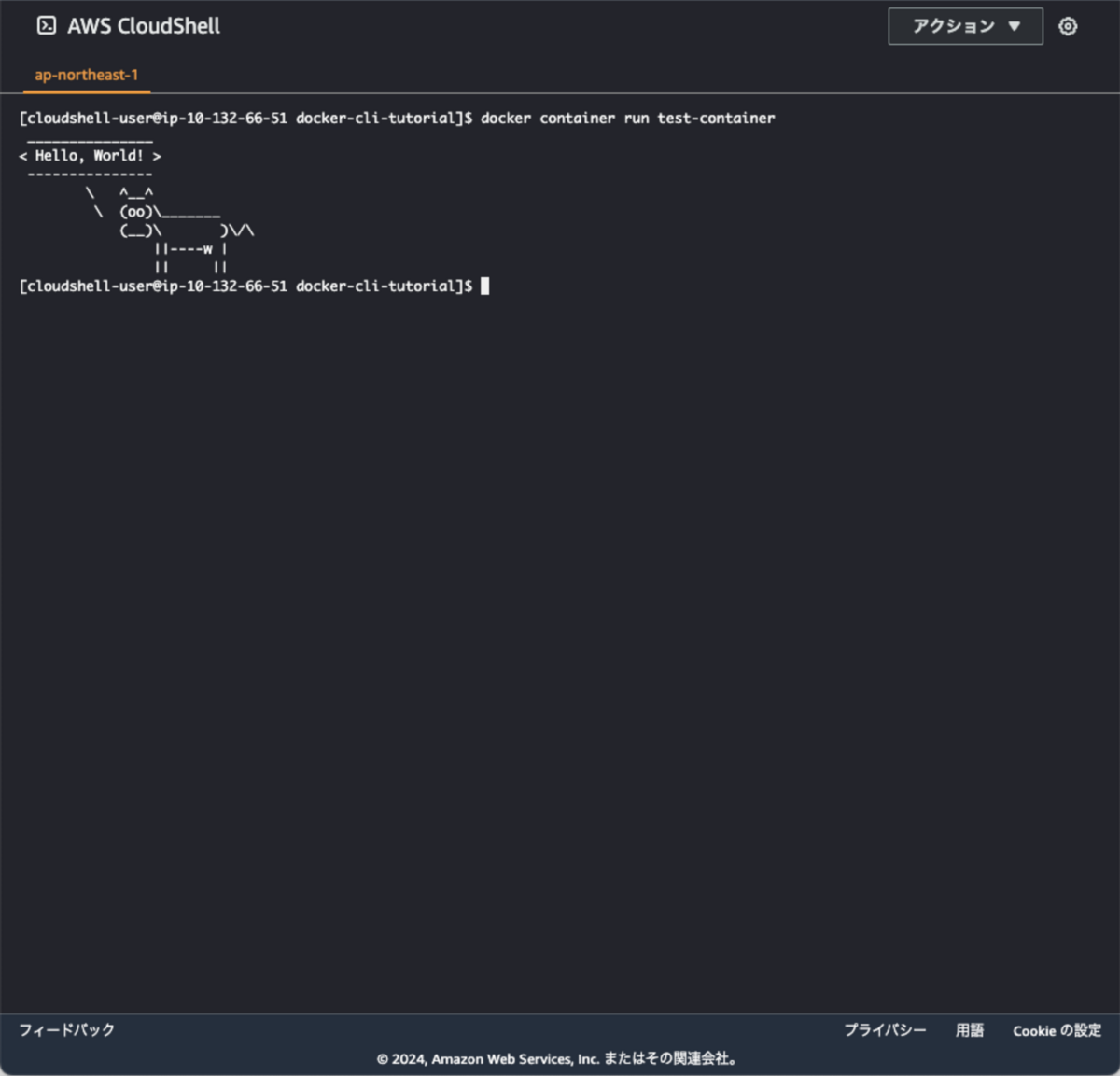 AWS CloudShell で Docker が利用できるようになりました - サーバーワークスエンジニアブログ