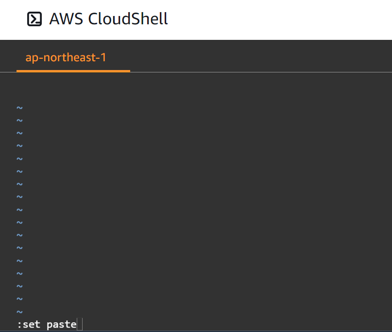 AWS CLI のオプションで JSON 形式のポリシーを渡したいとき - サーバーワークスエンジニアブログ