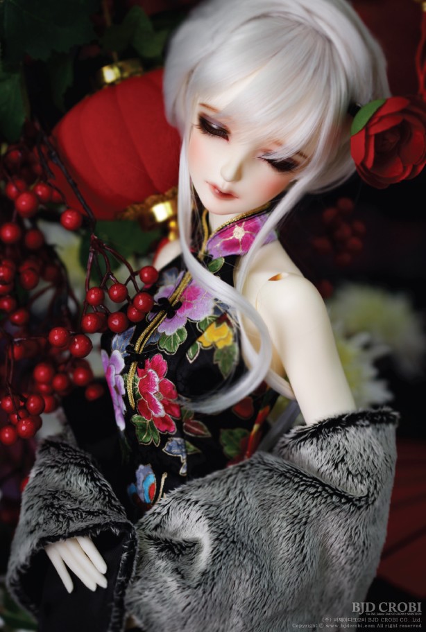 今気になるドールたち【BJD CROBI Limited Doll 編】 - いろんな沼にハマってみる