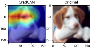Tensorflow-EfficientnetでGradCAMを実装してみた - よっしーの私的空間