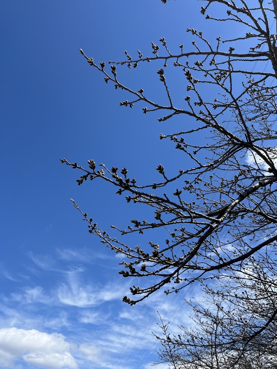 春っぽく（ ^ω^）・・・ - t2567cdcasの日記