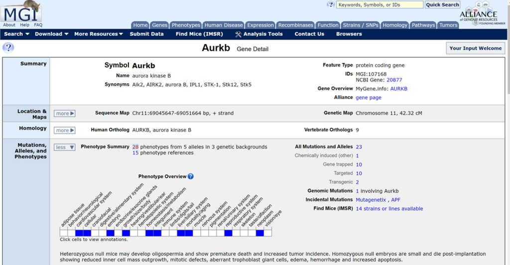 MGI(Mouse Genome Informatics)からマウスの表現型情報を取得して，KNIMEを使ってまとめてみた - t_kahi ...