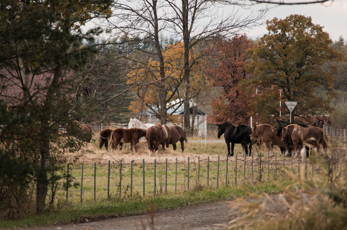 インフラチームのスクラム開発 2022 Spring - OpenWork Tech Blog