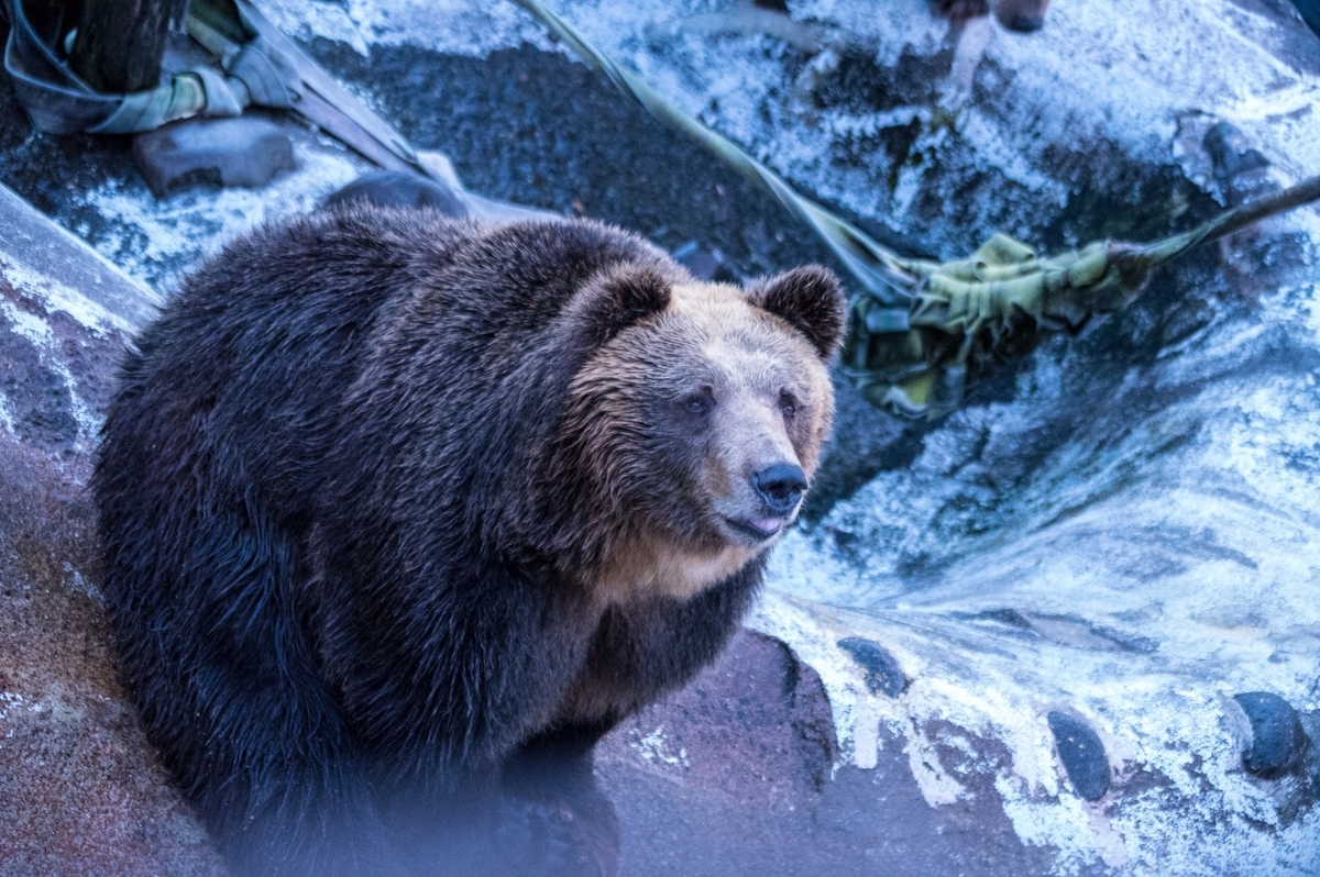 今年やらかしたこと 2022 (インフラ・エディション) - OpenWork Tech Blog