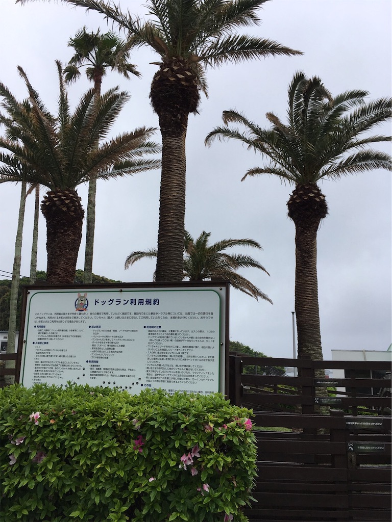 GW後半戦！ ペット同伴でも行ける水族館！ - tabi kuma