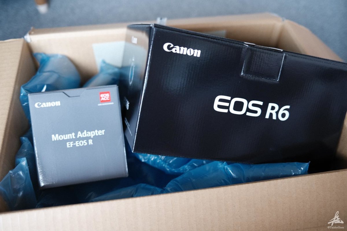 キヤノン EOS R6を買ってしまったお話 - 大将がゆく