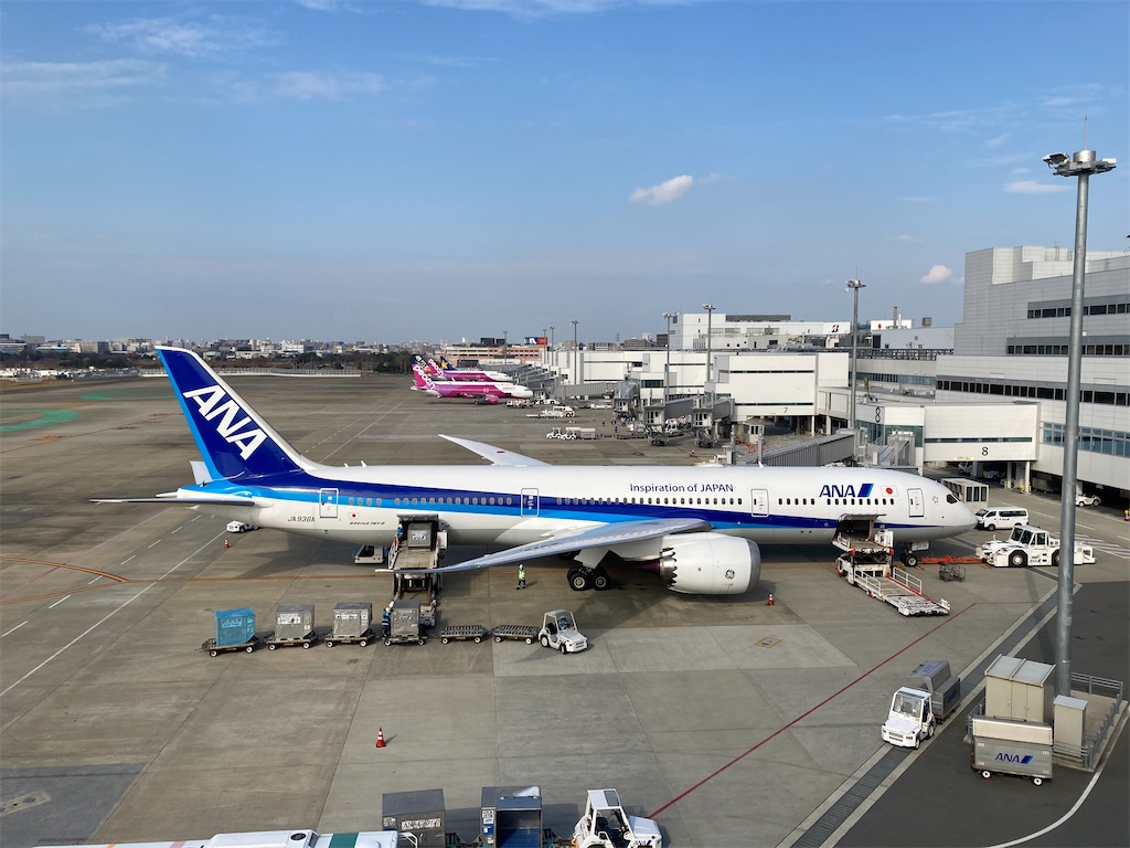 ANAの新コンフィグ78G 福岡初便搭乗記 - へんな旅行記