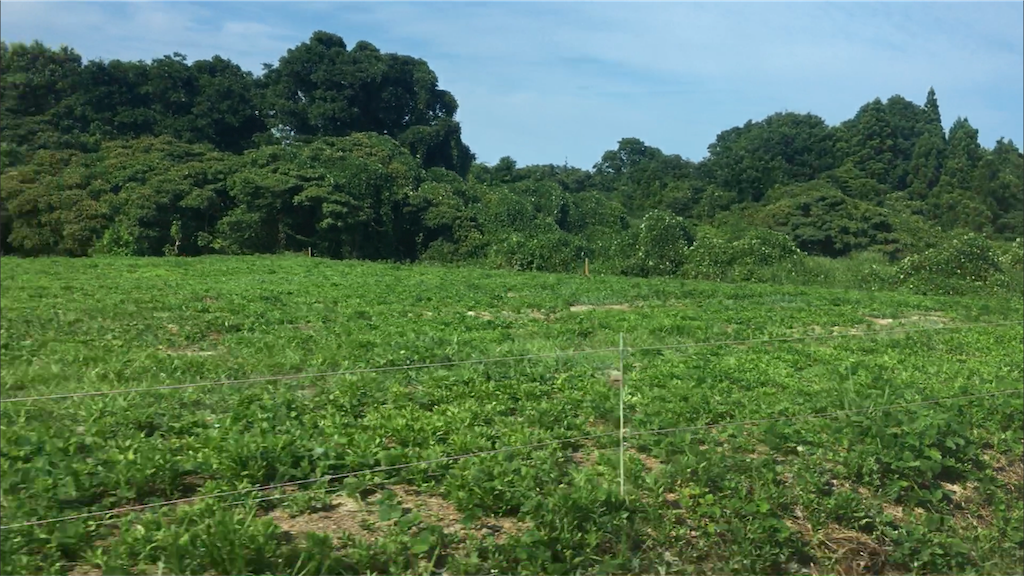 ボーイスカウト 17th NSJ に行ってきた - ターの鉄道日誌