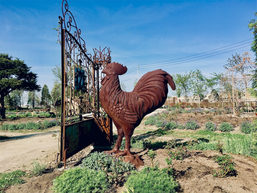 【まるでVRMMO】えこりん村がファンタジーの世界感な件 - ヘルシー×ハンターの雑念