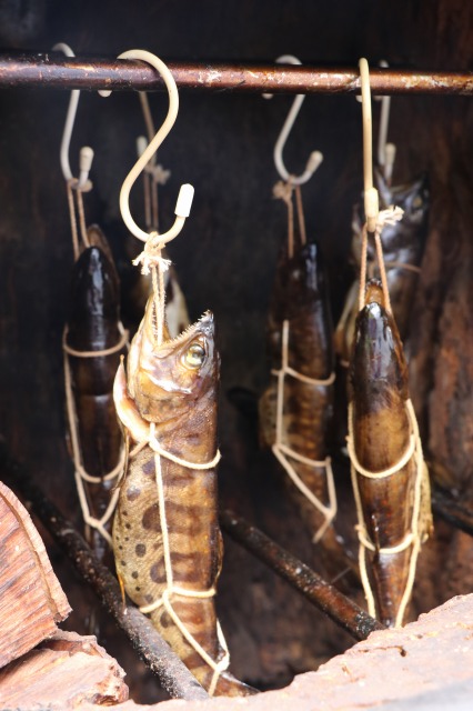 Hot smoked Amago (red spotted masu trout) - takayama SAKANA