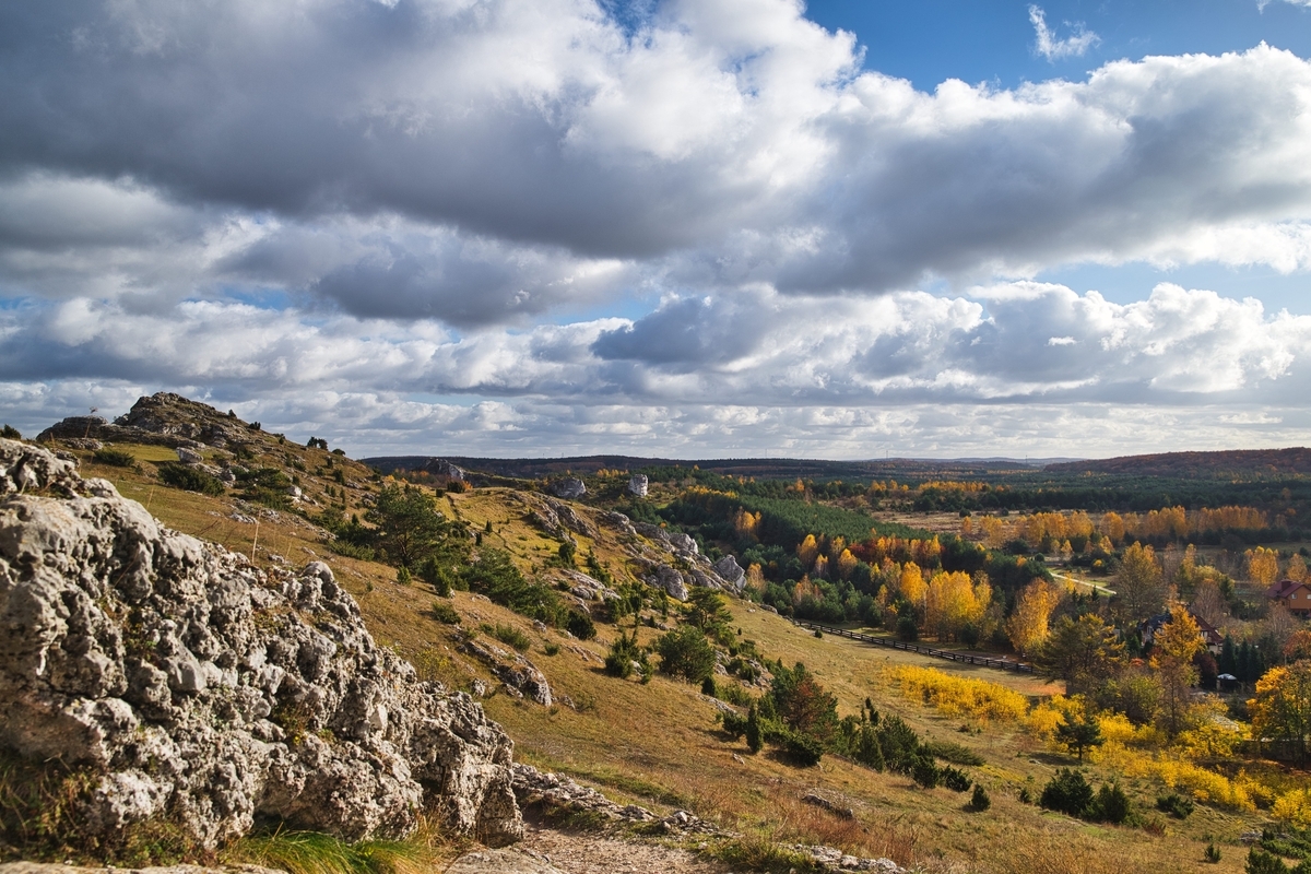ananにHANA!予約ガイド - 予約ステーション