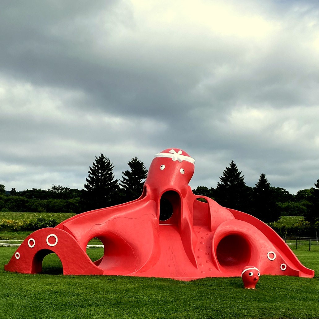 Octopus Playground Slide - あ ば ろ ん