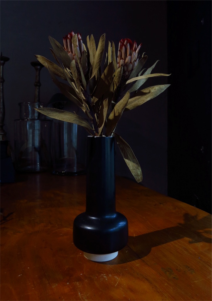 「Protea robyn」 - ADAPTATION DESIGN