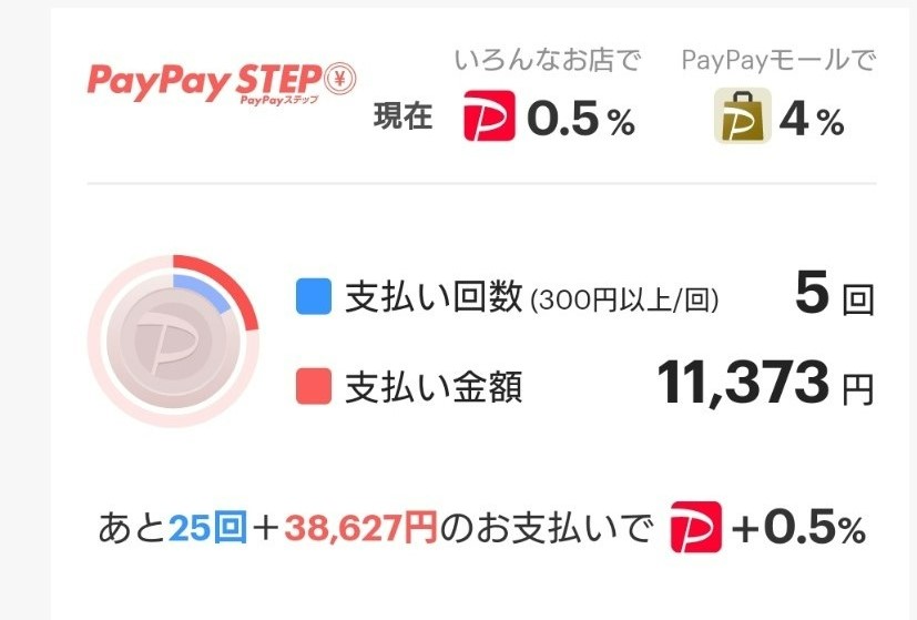 PayPay 地域キャンペーン 25％オフ PayPayカード誕生 - たまごセ の日記