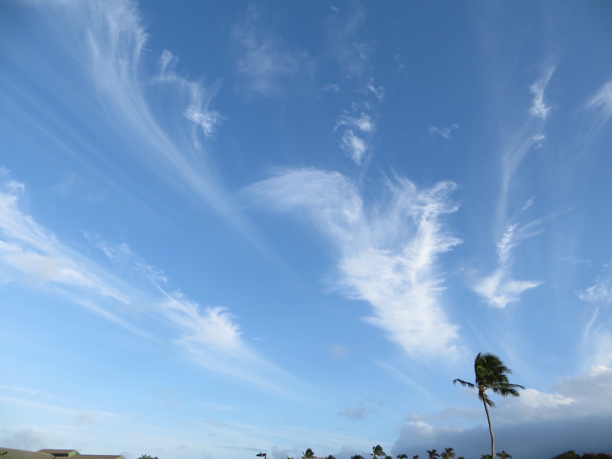 Secrets of a Long Life | 長生きの秘訣 - Tamago Studio Japan