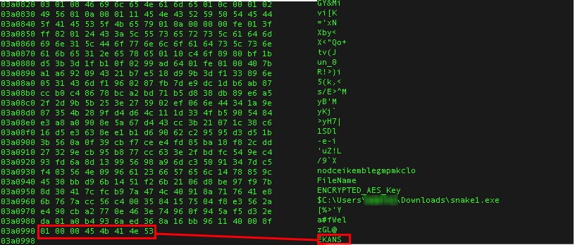 Ransomware: Snake / EKANS (まとめ) - TT Malware Log