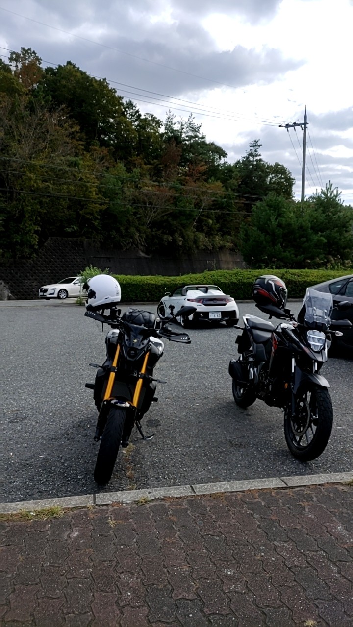 久々にいつもの散歩道 - たると