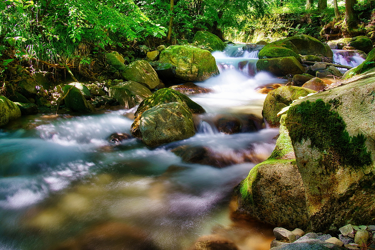 Trial shot at a nearby stream. - Let's Enjoy in a Blue Stream.