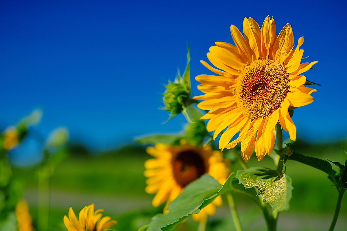 夏休みしてました。。。 - Let's Enjoy in a Blue Stream.