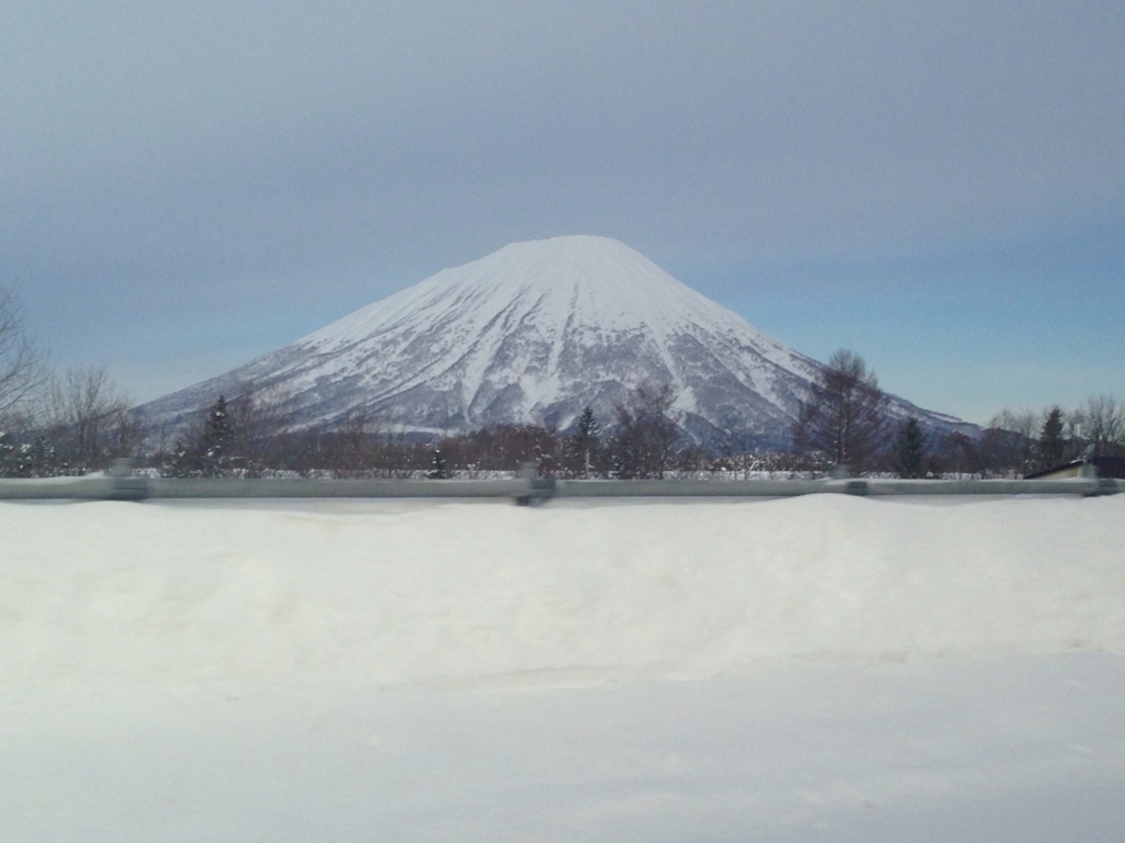 あけましておめでとうございます - tayume’s blog