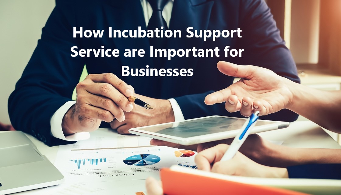 How Incubation Support Service are Important for Businesses - Tecnova ...