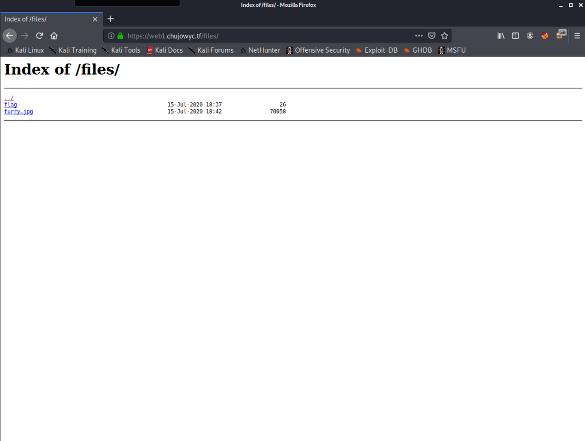 Chujowy CTF 2020: Write up - kanyewest CTF
