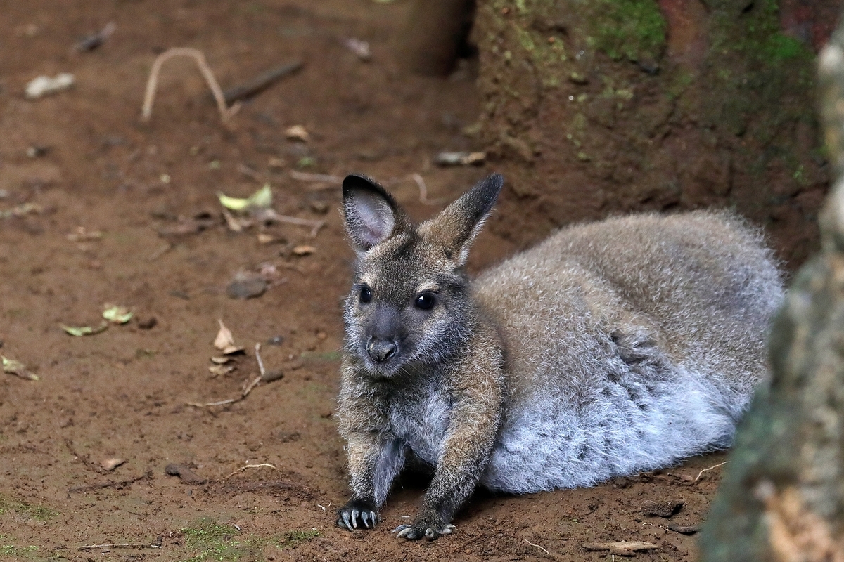 5,000カラムのコメントを一気に更新したい！ - freee Developers Hub