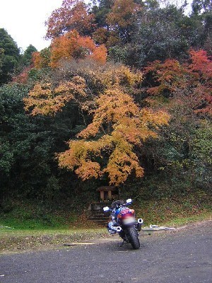 個別「曽呂温泉の祠と紅葉」の写真、画像 - tetsu_fuji's fotolife
