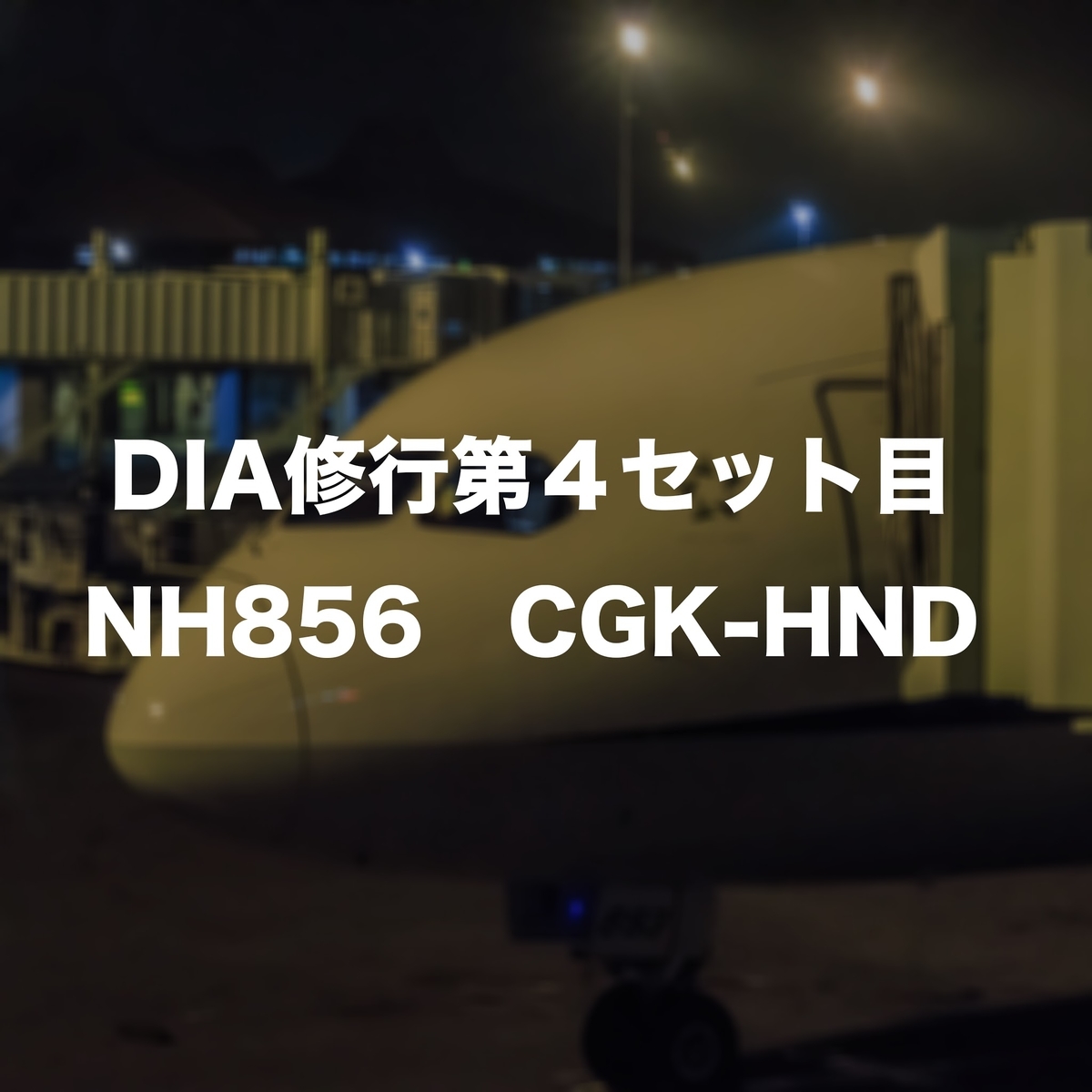 DIA修行第4セット目：自分の中での鬼門、NH856便（CGK-HND）に再搭乗して再検証してみた！ - 今日もアジアの片隅で