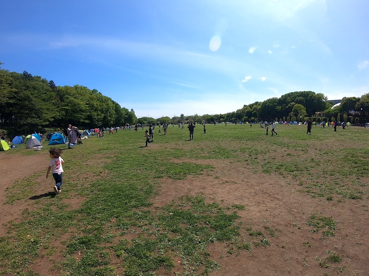 相模原市 麻溝公園 ほとんど無料で楽しめる市営のハイレベル公園 - tipman's tips