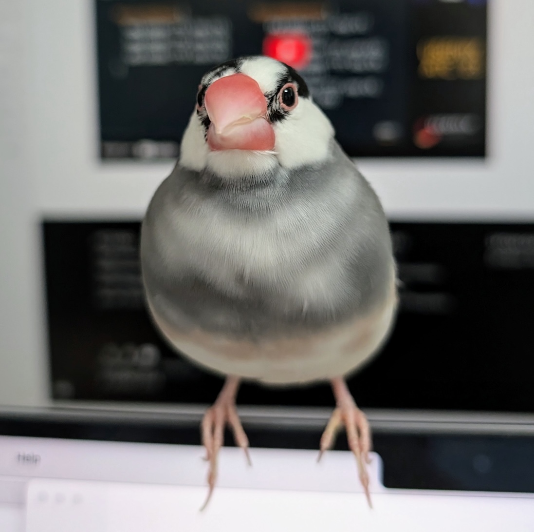 Amazon OpenSearch Serviceのfine-grained access control機能をCDKで管理する ...