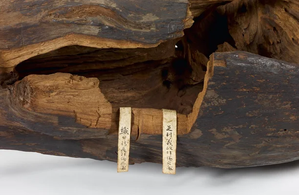 【読売KODOMO新聞で発見】蘭奢待（らんじゃたい）って何？日本史に隠された香りのロマン - 都会のはしっこ、2LDKで育ててます。