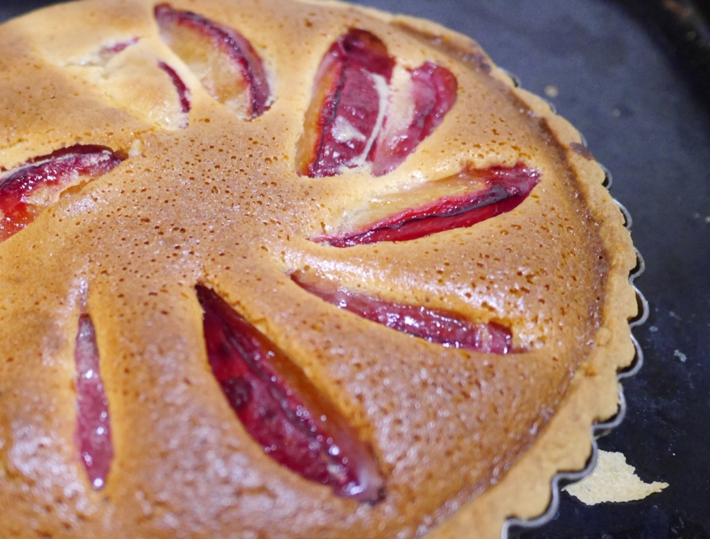 太陽プラムのしっとりタルト - おいしいパンのしくみとしこみ