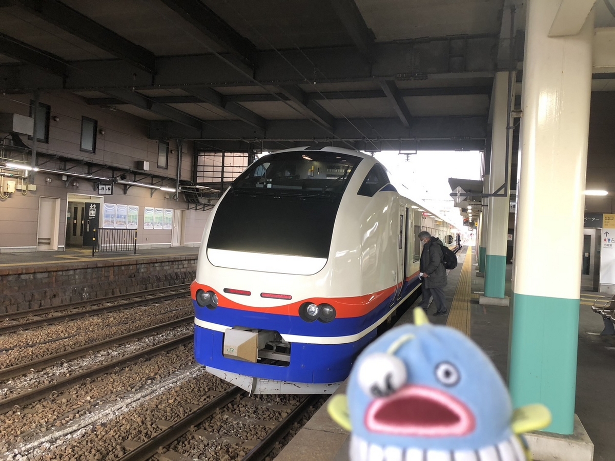 【マロが行く】ただ信ぜよ、E653 -2024.1.23 特急しらゆき - 十六番、雑食混沌の戯れ