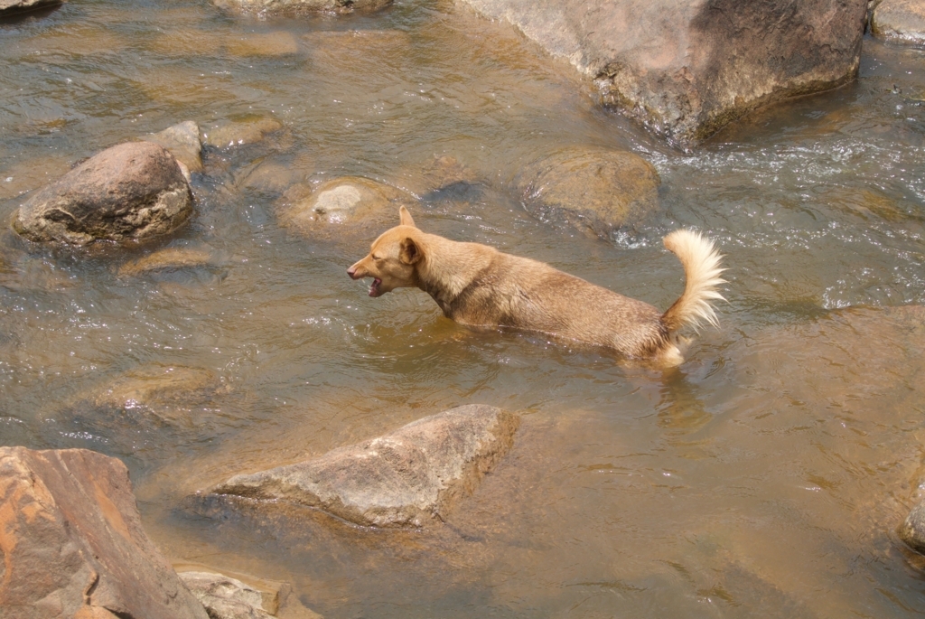 Tuek Chhou Resort -Escape from the crazy heat of Kampot- - KAMPOT ...