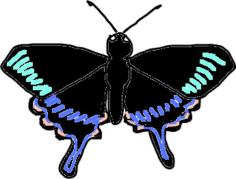 個別「Hatena::Diary」の写真、画像 - tomoe_forest's fotolife