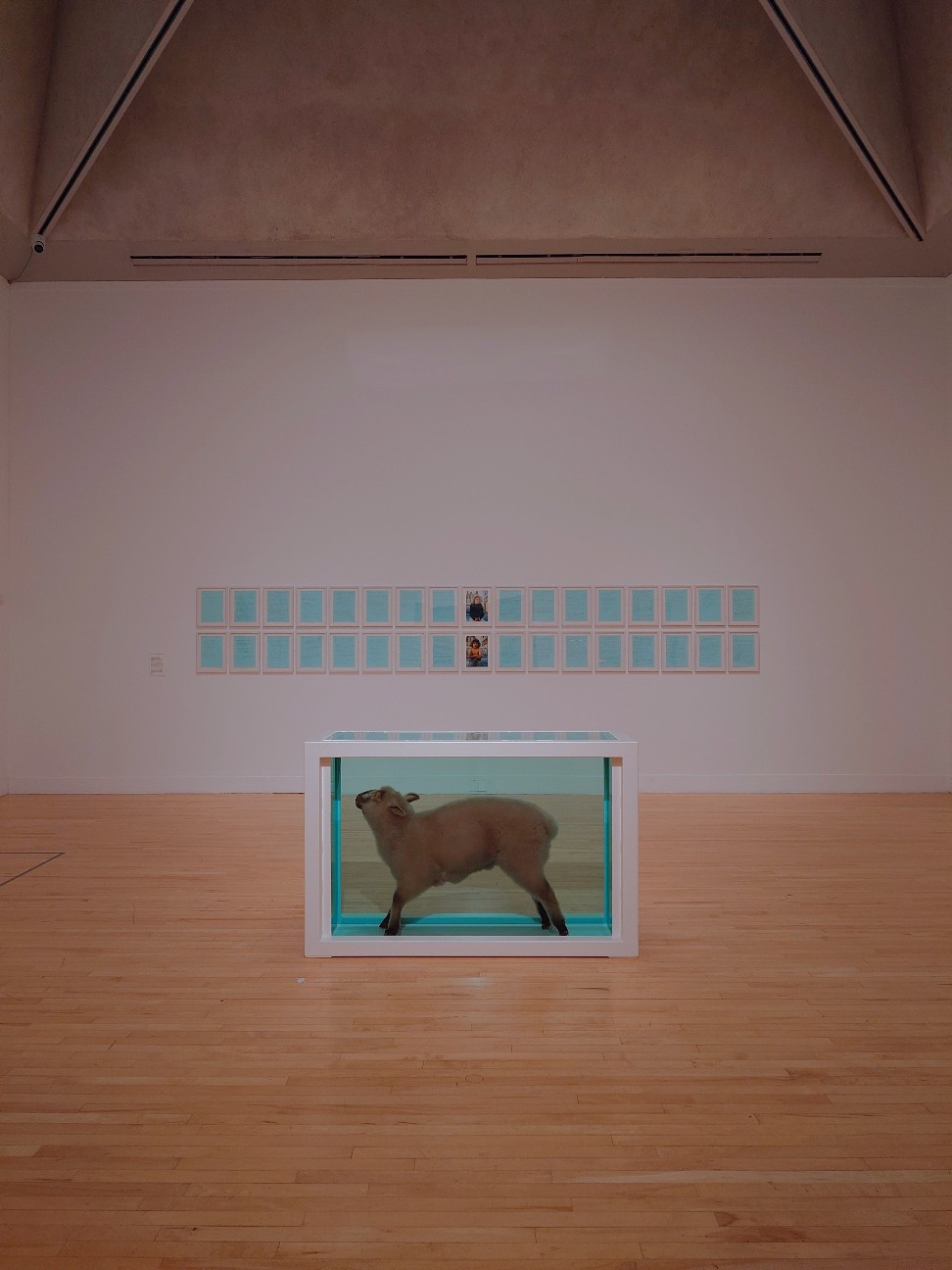 1年で1番日が長い6月を楽しむブログ - ロンドンのテムズでズンドコレボリューション