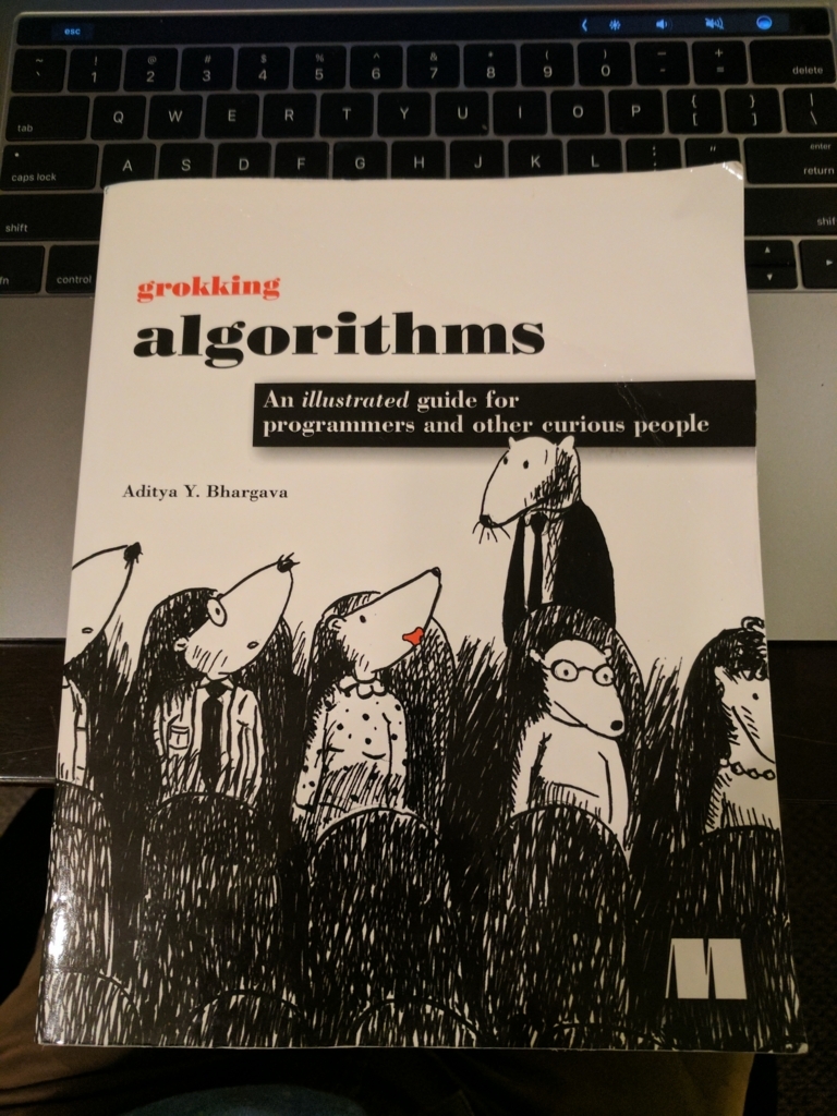 Grokking Algorithms An Illustrated Guide For Programmers And Other 5430