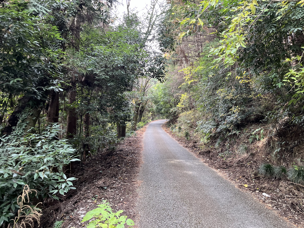 栃木県の唐沢山に登りました！ - Dribit medias - ドリビットメディア
