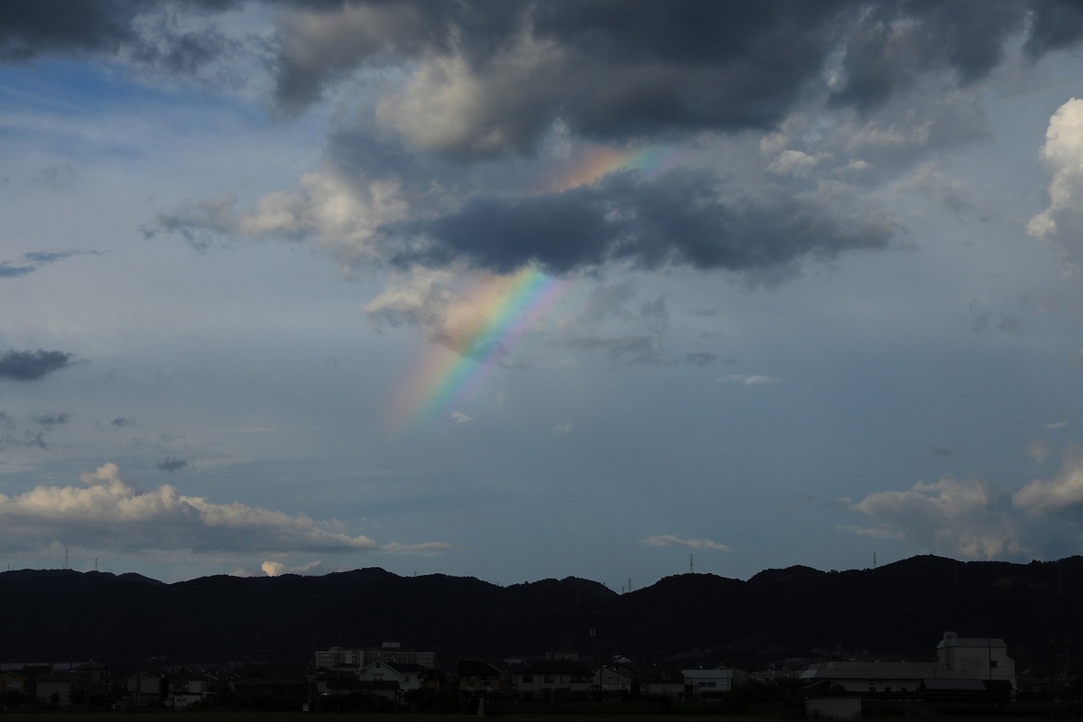 京都「夕立・雨柱」2023 - tooniiの写真日記