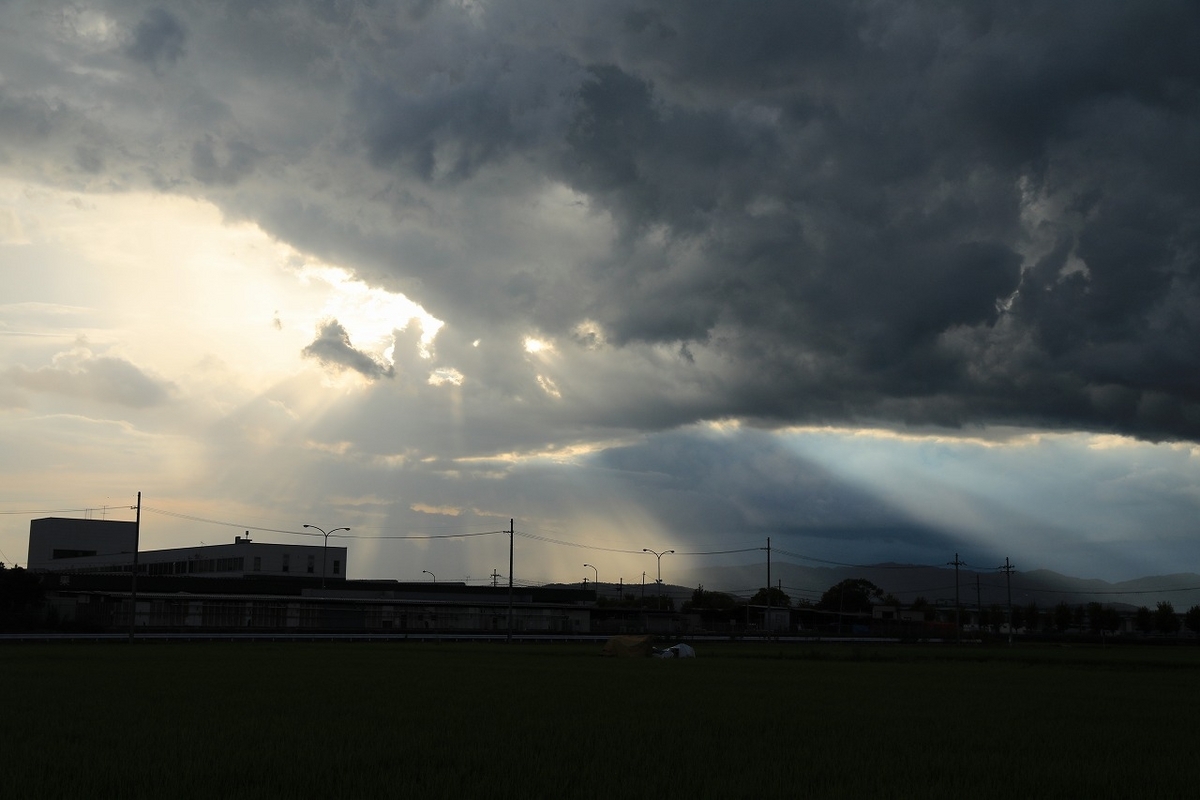 京都「夕立・雨柱」2023 - tooniiの写真日記