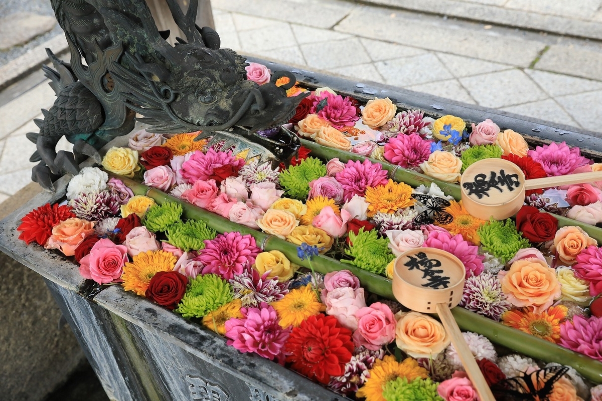[B!] 京都西山「柳谷観音楊谷寺」紅葉 2023 - tooniiの写真日記