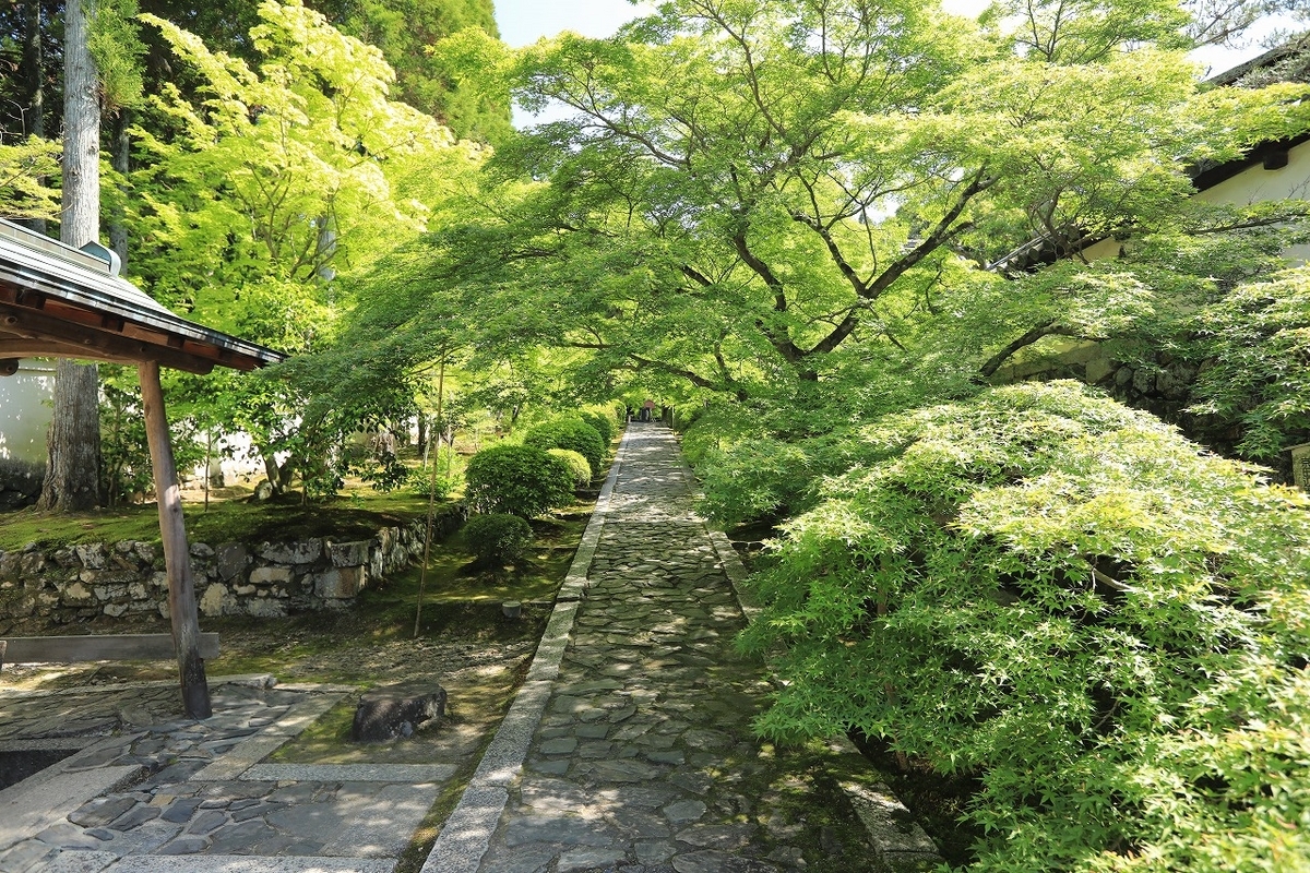 tooniiの写真日記