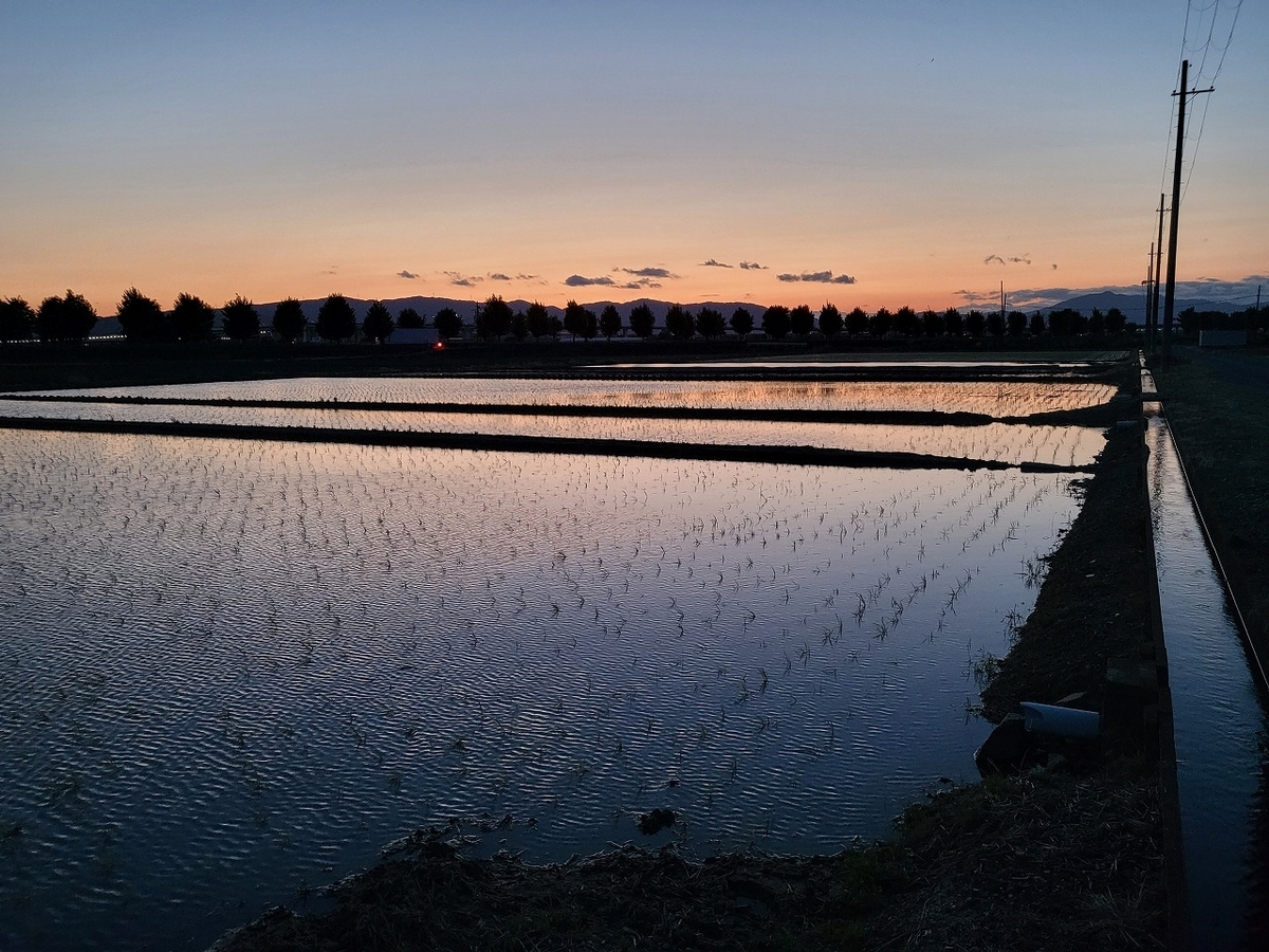 [B!] 京都「巨椋池干拓地」田植え始まりました 2024 - tooniiの写真日記