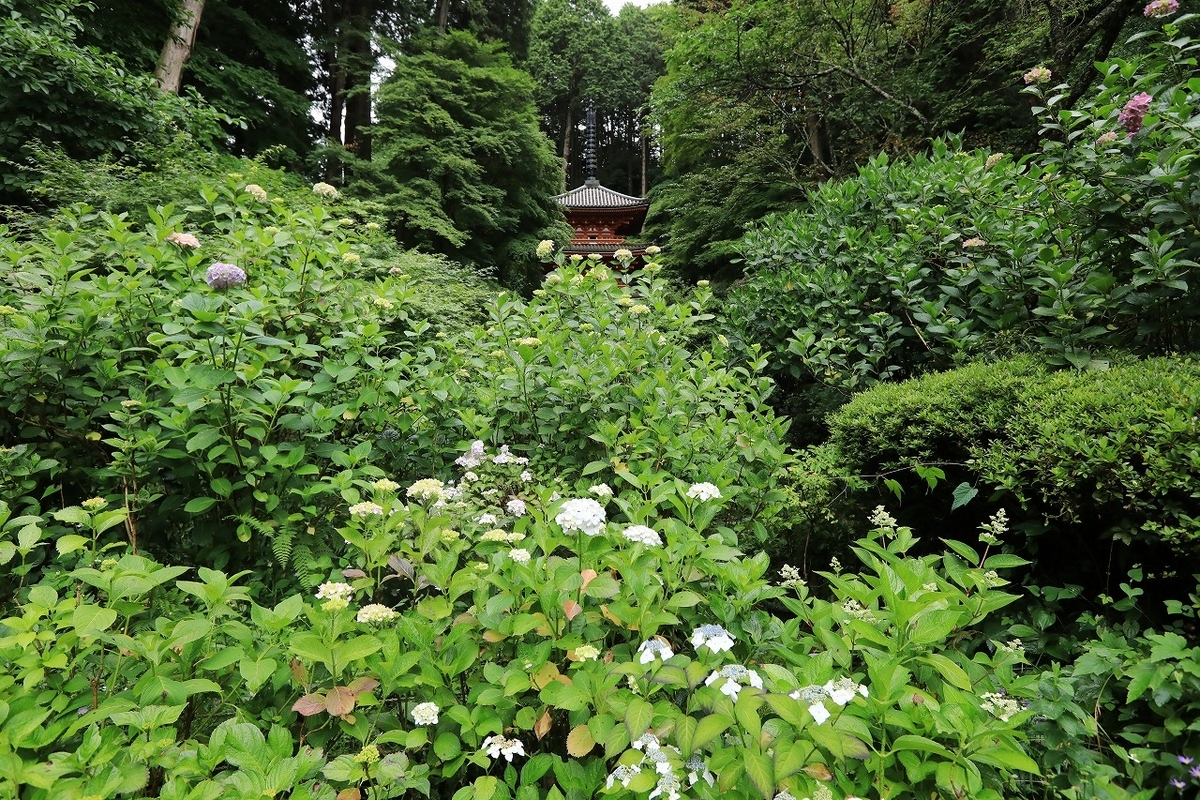 tooniiの写真日記