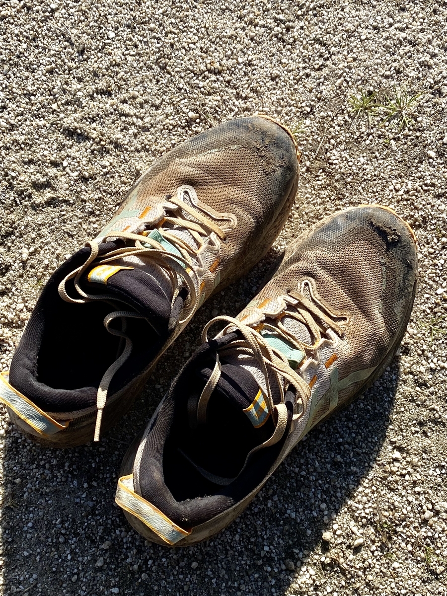 大多喜♪ - 院長ブログ