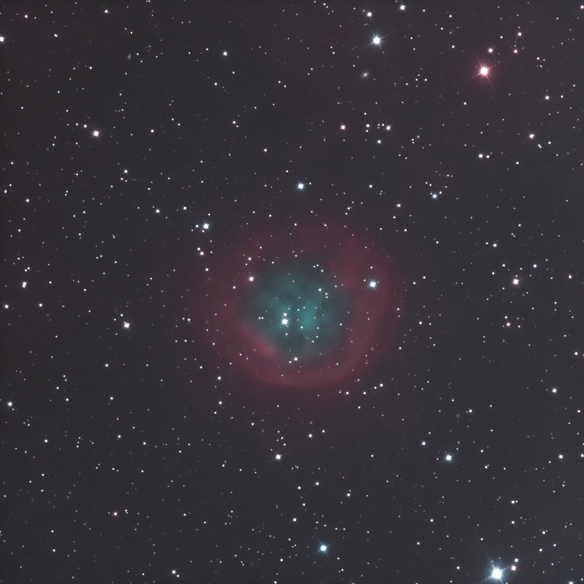 Sh2－290：かに座の惑星状星雲 - 星見鶏